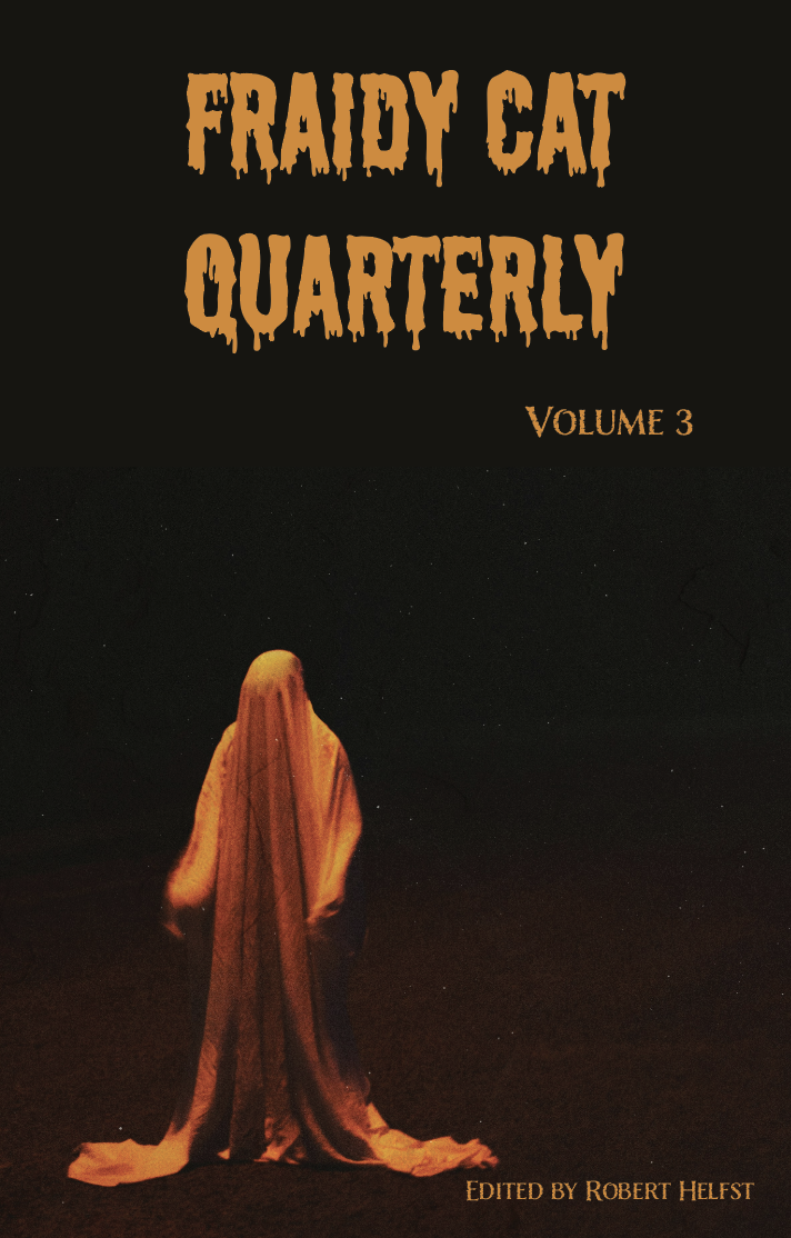 Fraidy Cat Quarterly: Volume 3 (includes ebook) - Fraidy Cat Press